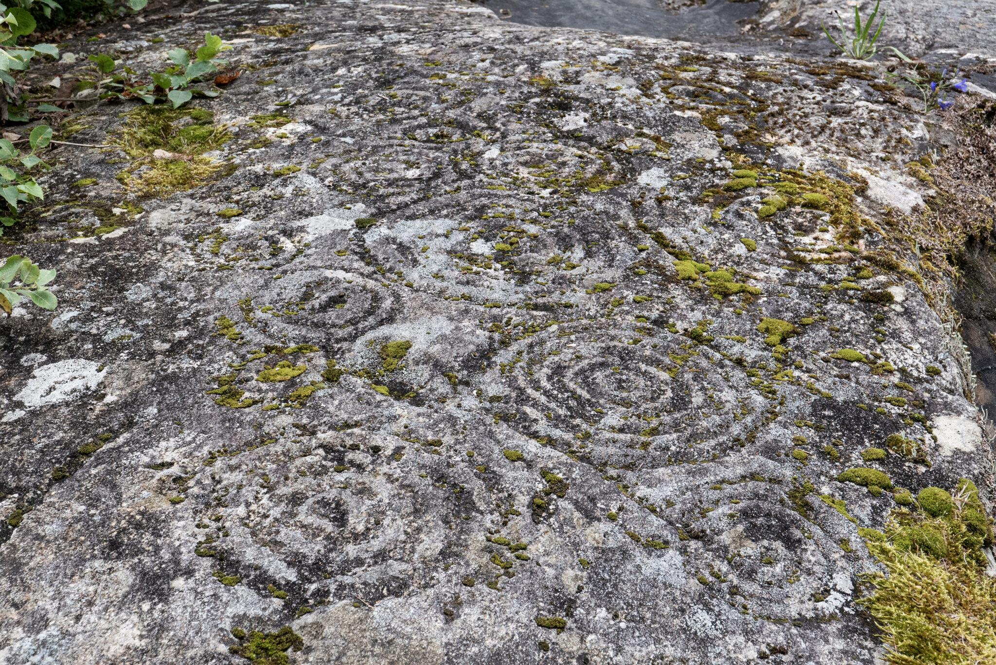 Luwian Studies Logo: Symbolism and Evolution